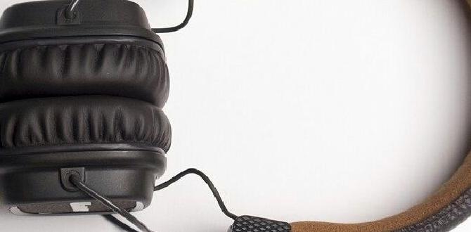 Ultimate Headphone Features Guide: Understanding Impedance ...