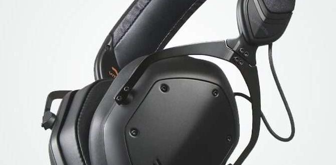 Ultimate Headphone Setup Guide With Noise Cancellation - HeadPhoneHorizon